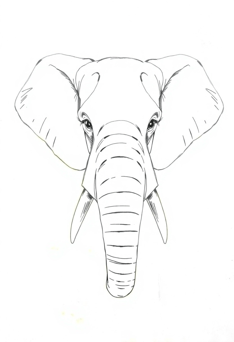The Regal Elephant Pincel The Regal Elephant Pincel